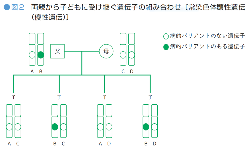 遺伝性乳がん卵巣がんを知ろう！