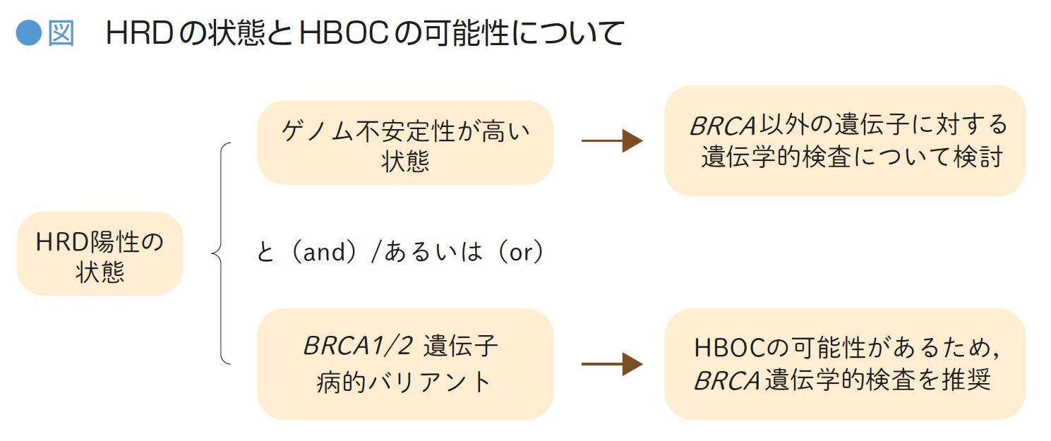 遺伝性乳がん卵巣がんを知ろう！